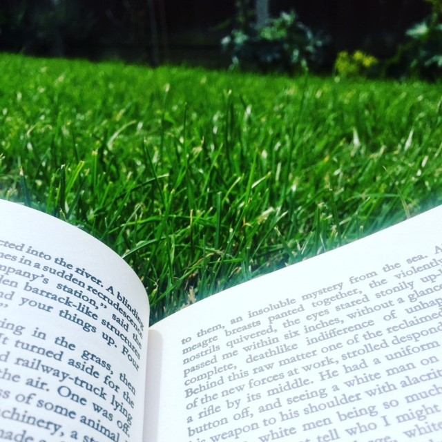 Review Wednesday | Summer Reads – Always in the Write